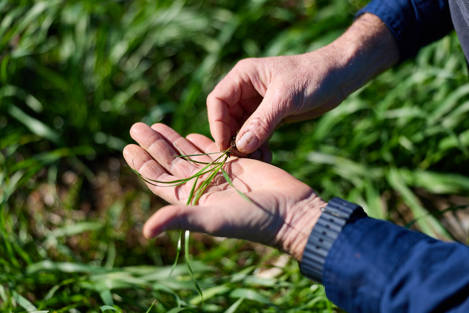 Moa Technology develops groundbreaking category of crop protection - TOSP